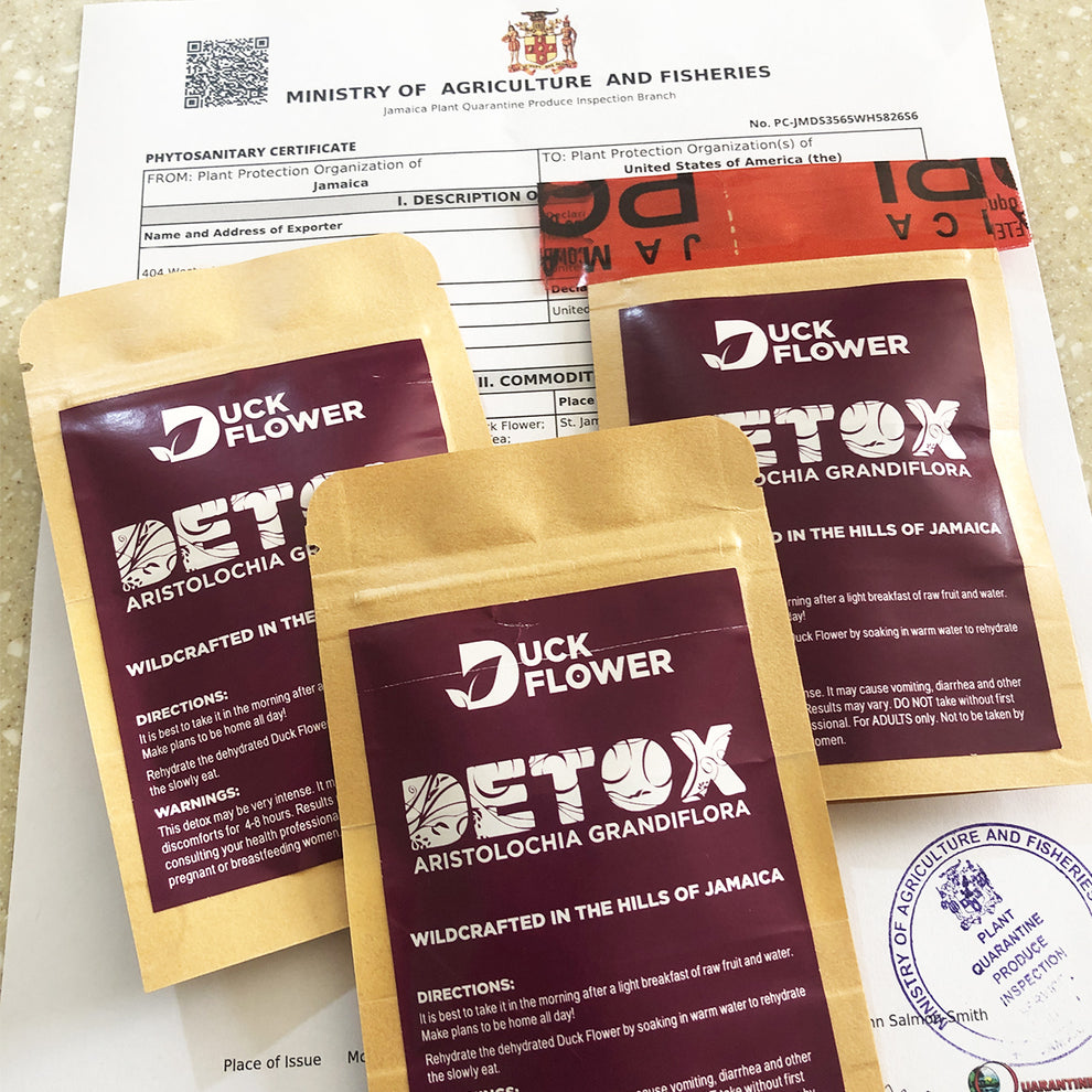 Duck Flower Detox - Dr Sebi Approved – duckflowerdetox